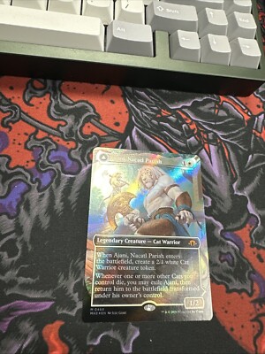 Ajani, Nacatl Pariah - Textured Foil Borderless - NM - Modern Horizons ...