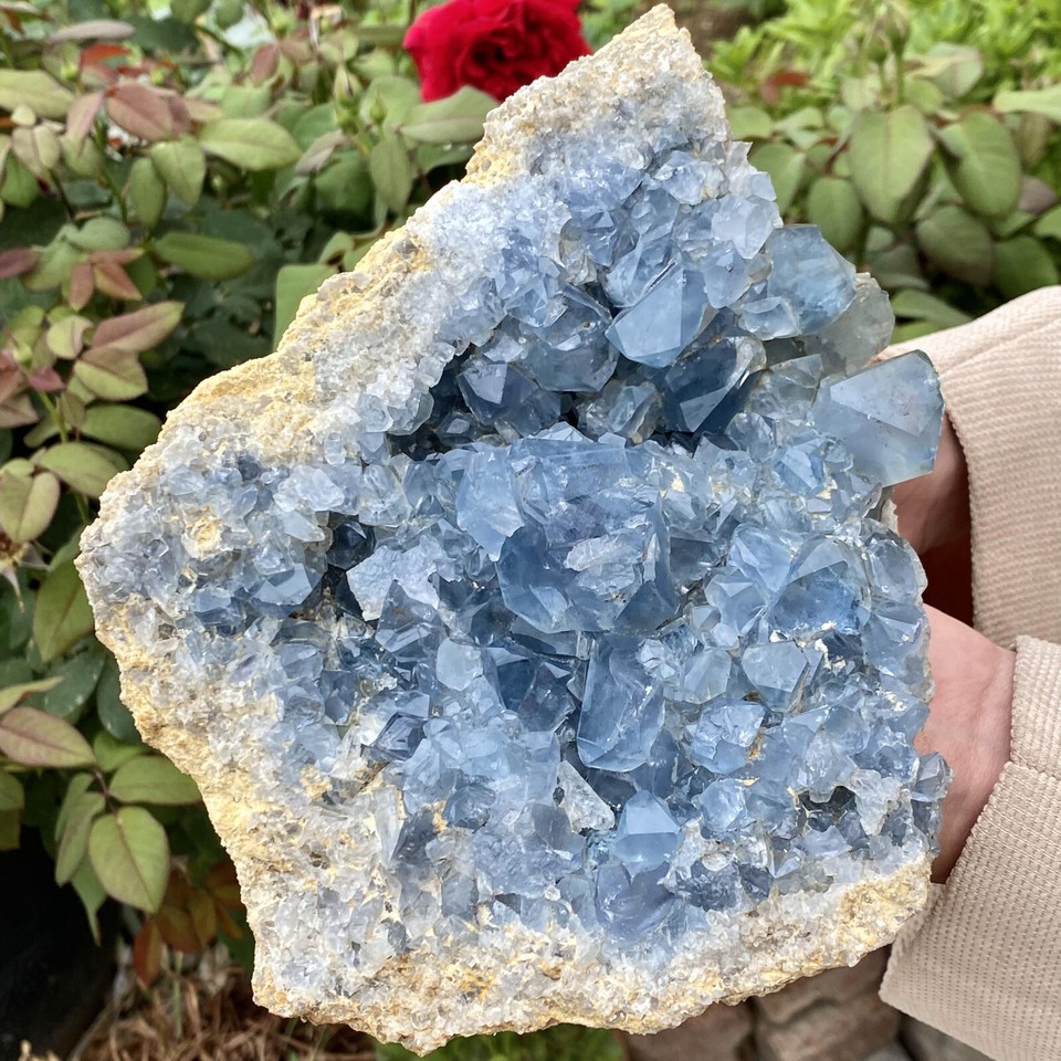 7.7LB Natural Beautiful Blue Celestite Crystal Geode Cave Mineral ...
