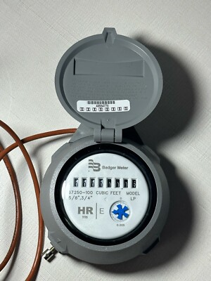 Badger Meter CUBIC FEET WATER METER MODEL LP NR 1116 67250-100 New | eBay