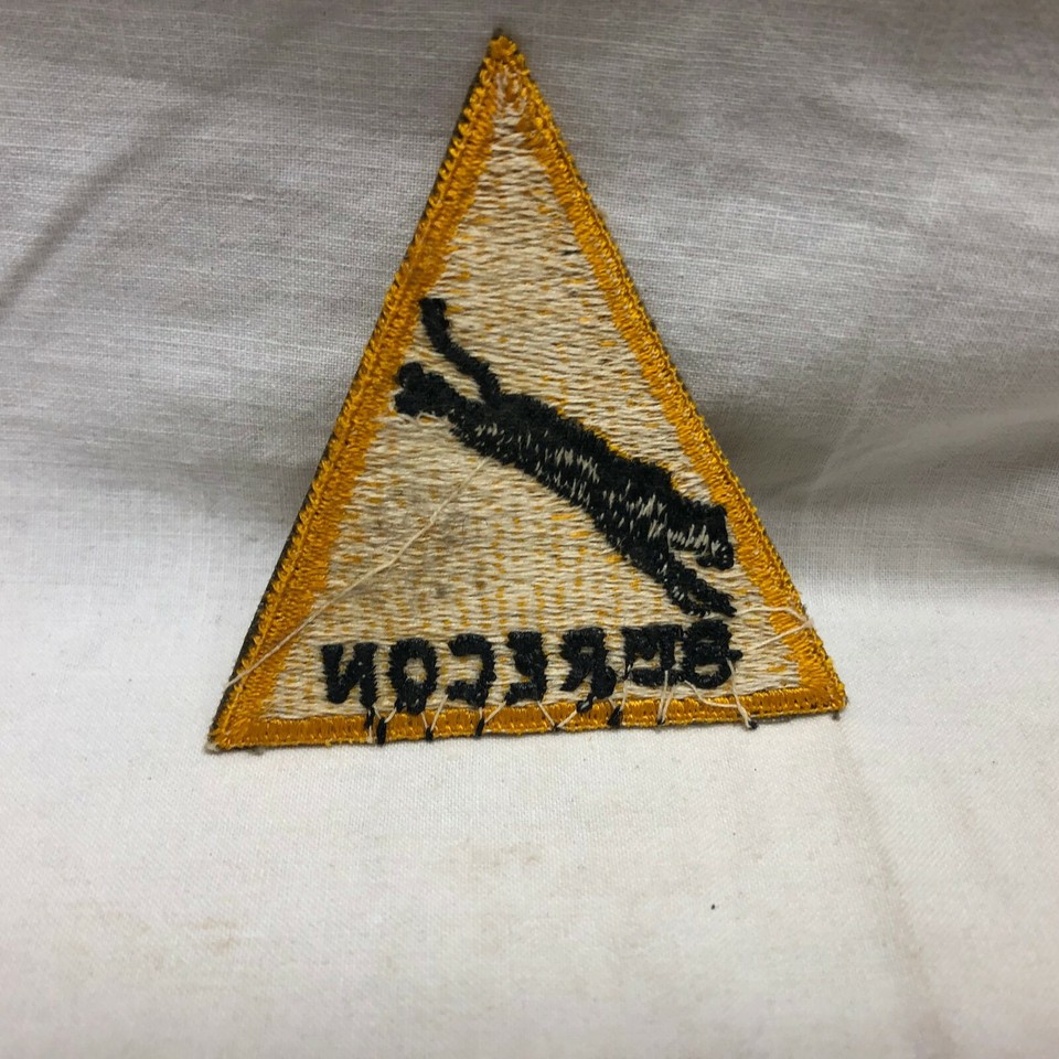 Military Patch US Cavalry 8th Recon Company Tall Triangle Variant R2D ...