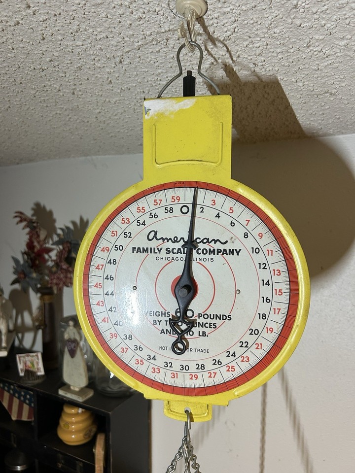 Vtg AMERICAN FAMILY SCALE Co. Chicago Hanging Basket Store Scale 60lb ...