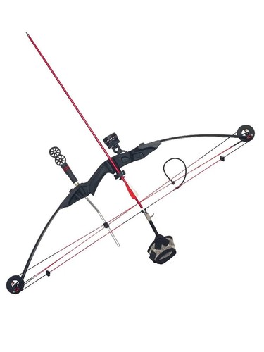 1 Set of Archery 35 Pounds Compound Bow Training Bow and Arrow ...