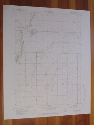 Walnut Grove Minnesota 1969 Original Vintage USGS Topo Map | eBay