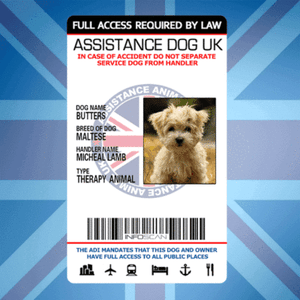 ASSISTANCE DOG UK - SERVICE CARD ID BADGE FOR UNITED KINGDOM GREAT ...