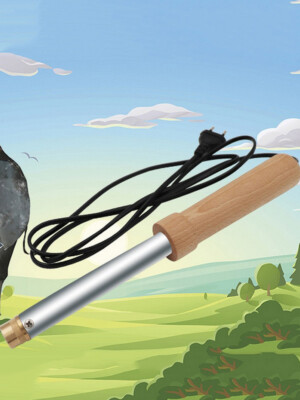 Cattle - Beef - Tool Cattle