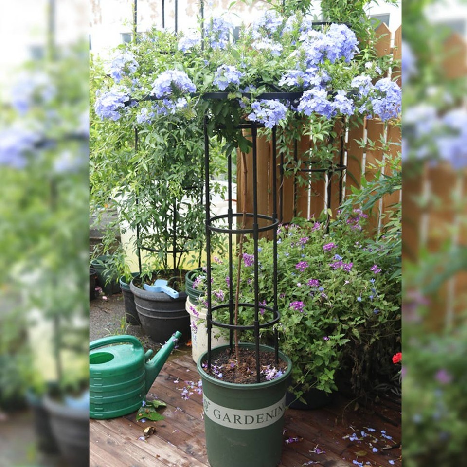 90/150cm DIY Garden Trellis Tower Plant Flower Vine Support For ...