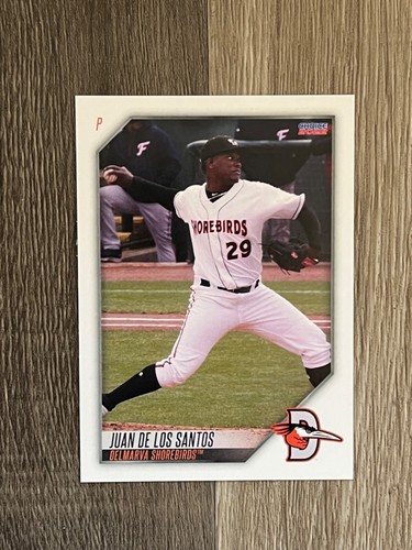 2022 Delmarva Shorebirds Cards from Team Set - Updated 05/13/2025 | eBay