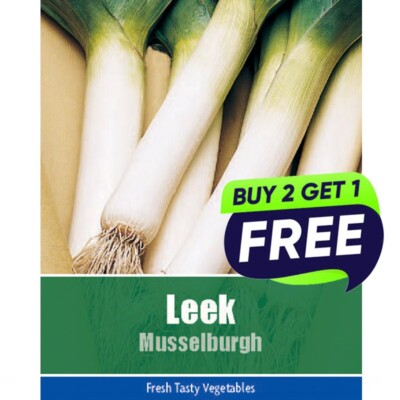 Leek Musselburgh - 275 Seeds Vegetable Grow Your Own Garden Salad Herb ...