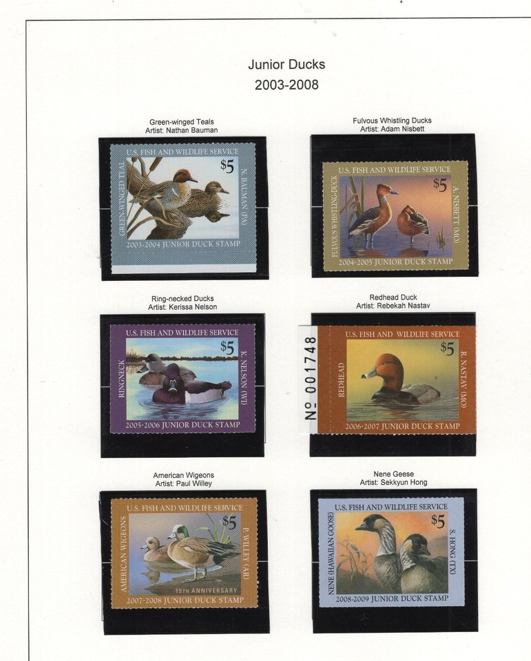 2002/2016 Junior Duck stamp Collection Mint NH | eBay