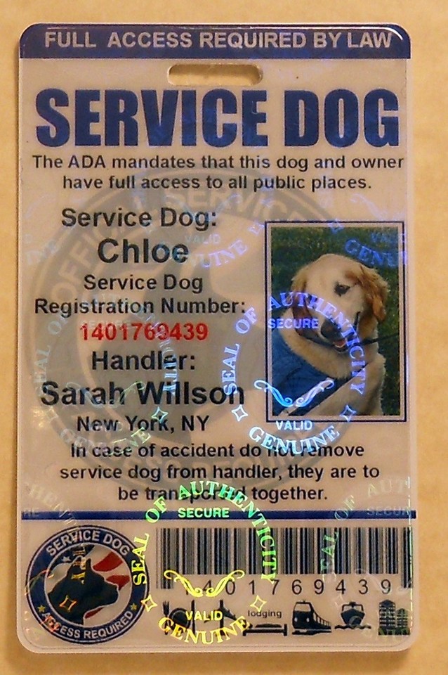HOLOGRAPHIC SERVICE DOG ID CARD FOR SERVICE ANIMAL ADA RATED 0BH | eBay
