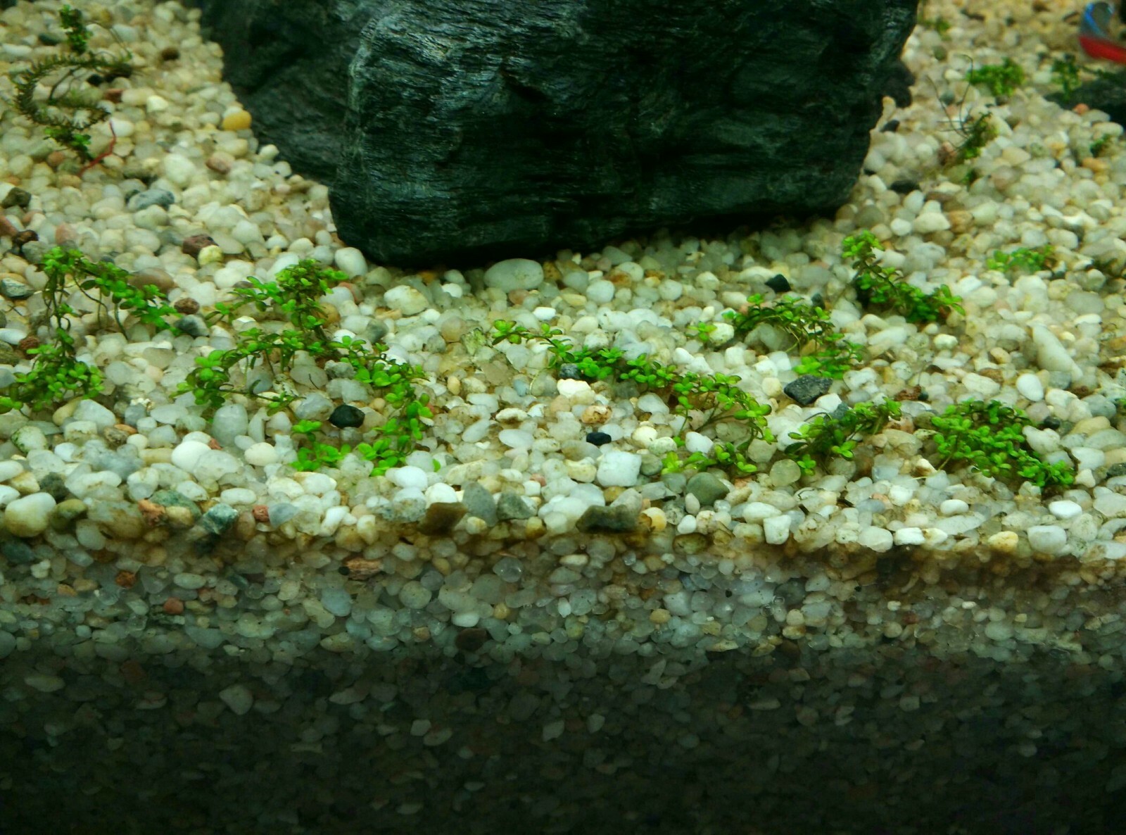 Aquarium Sand Fish Tank Gravel 100% Natural Silica Plant Substrate GREY ...