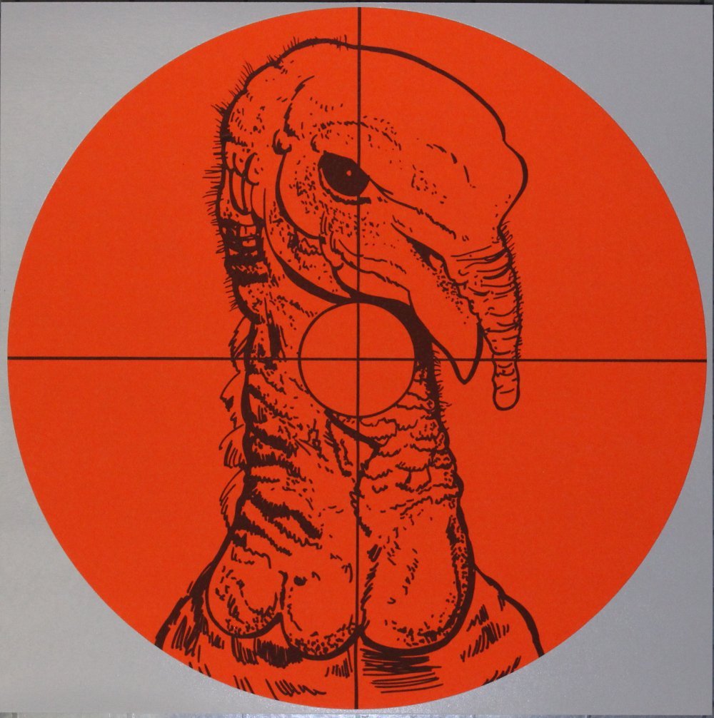 Lyman 2665 Targ-Dots Turkey Hunter Practice Targets - 10 targets, 6 ...