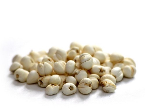 1LB-2LB 100% Premium Chuan Bei Mu, Bulbus Fritillariae Cirrhosae ~ USA ...