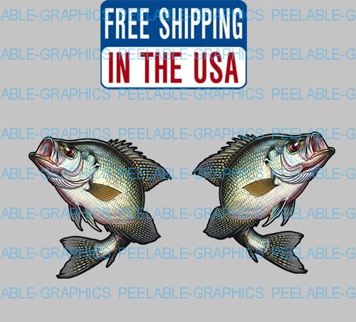 Crappie Fish Decal Sticker Fishing Cup Toolbox RV Car Window Bumper C ...
