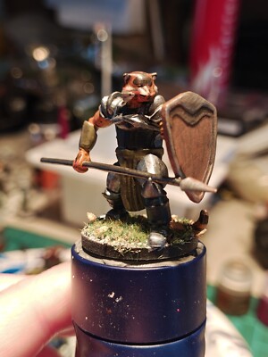 Tabaxi Tiger Fighter/Paladin DND Hand Painted Miniature | eBay