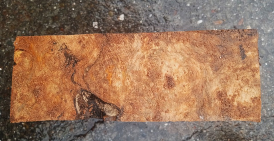 Maple Turning Block | Burl Block | DIY Craft Wood | Bowl Turning | Ma24 ...