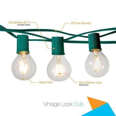 Brightech Ambience PRO Outdoor Globe Light Strand with G40 LED Bulbs ...