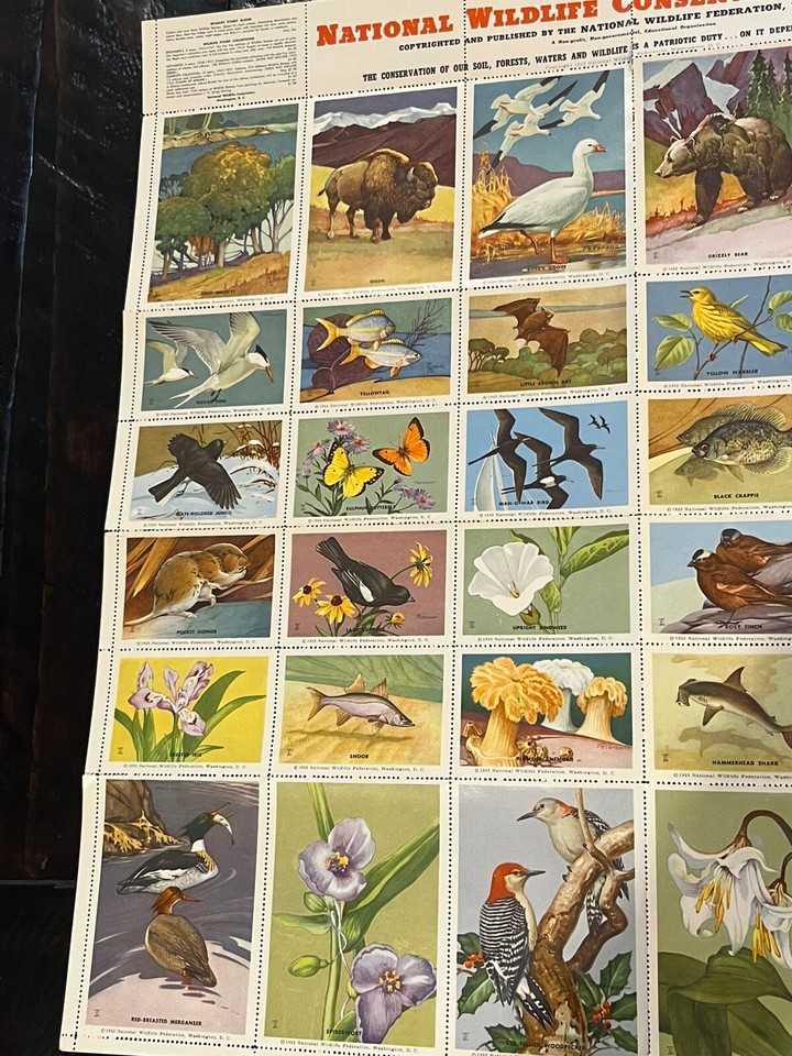 1953 National Wildlife Conservation Stamp Sheet, 36 Animal Stamps ...