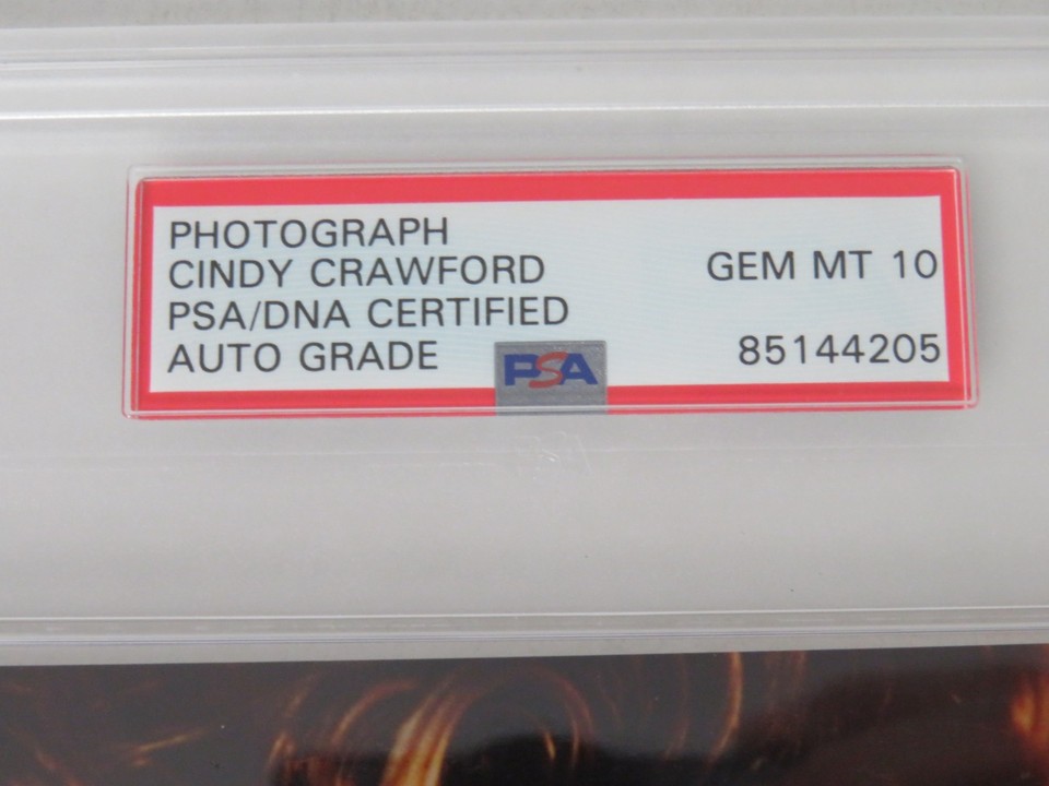 Cindy Crawford MODEL Signed Autograph 8x10 Photo Slab JSA PSA 10 Auto ...
