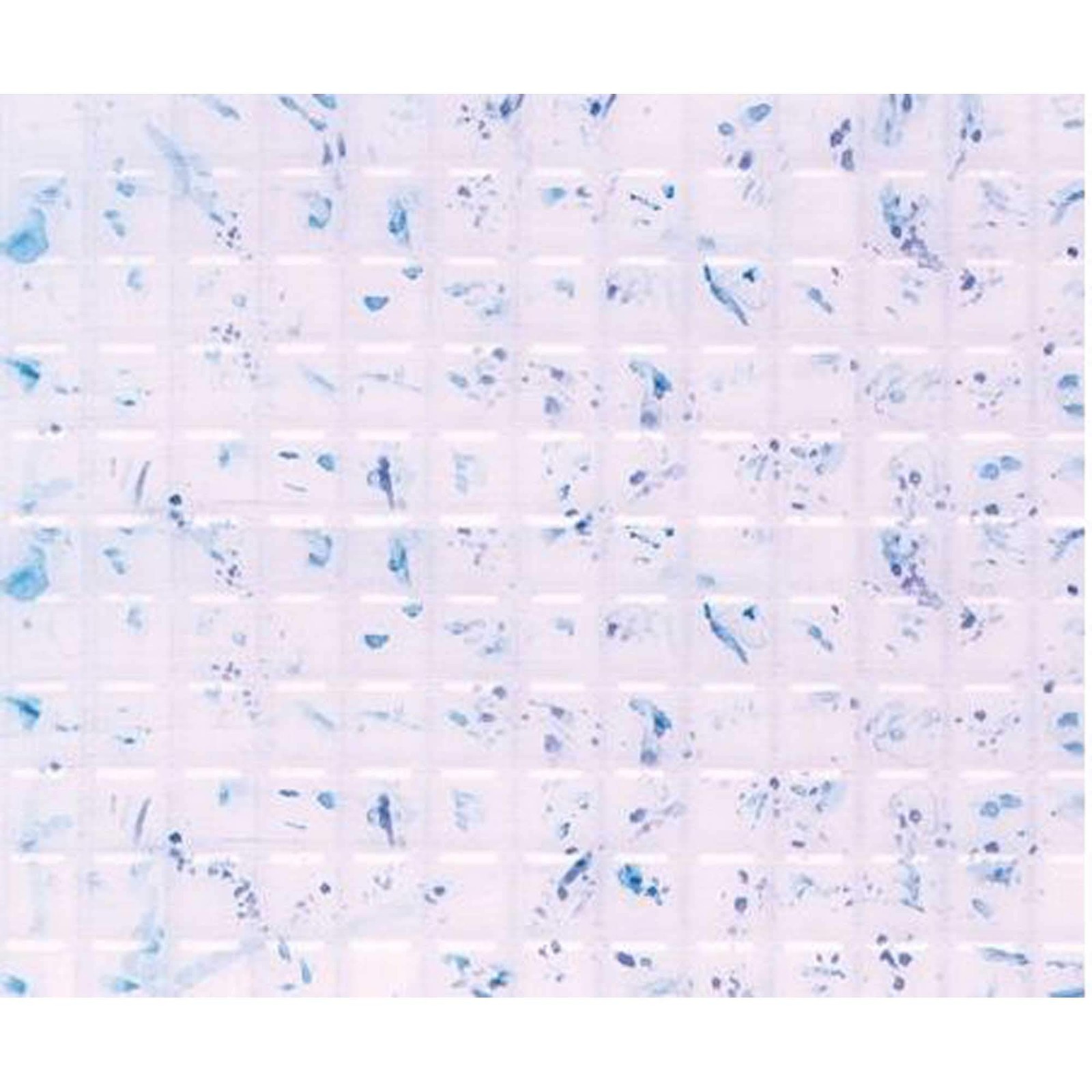 `(2)(Ps-42)3/16`` Square Ti ` ACC NUOVO | eBay