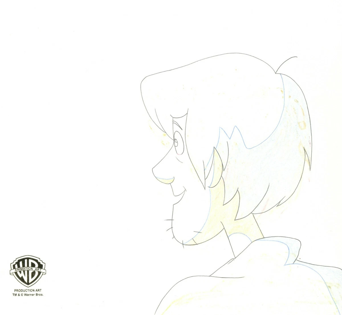Shaggy Sketch