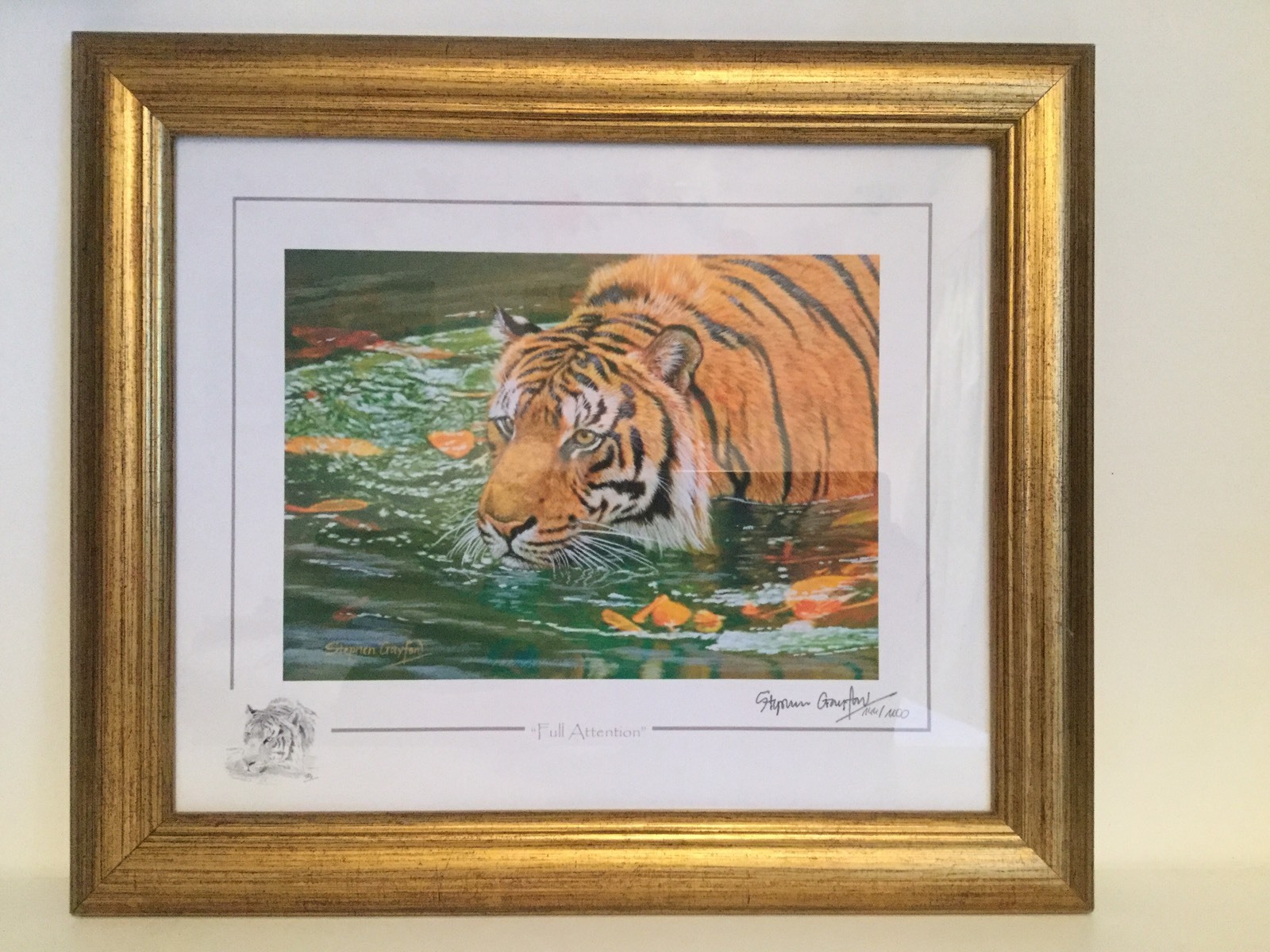 Stephen Gayford Tiger Print Picture Wild Animals | eBay
