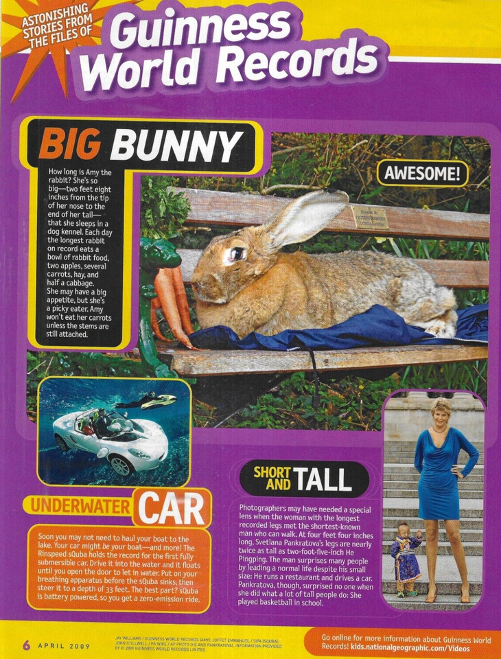 National Geographic Kids Magazine Special Ocean Issue Dolphins Dog ...
