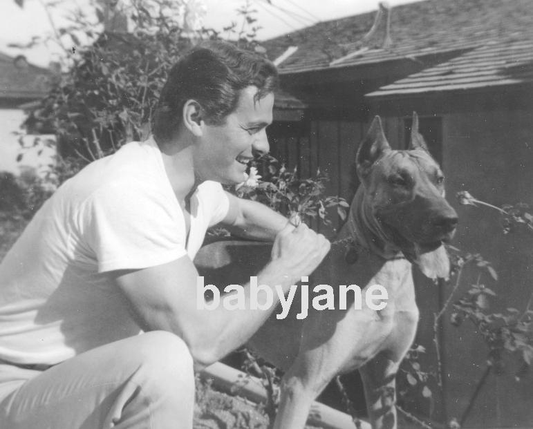 013 EDSON STROLL CANDID WITH HIS GREAT DANE DOG PHOTO | eBay