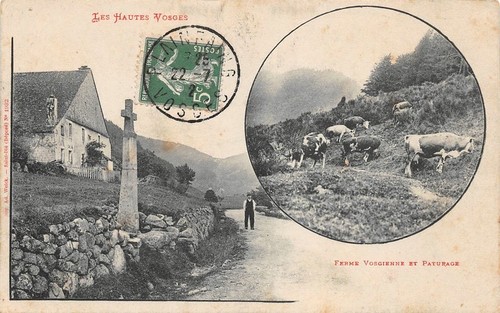 Les Hautes Vosges - Farm Vosges And Pasture | eBay Australia