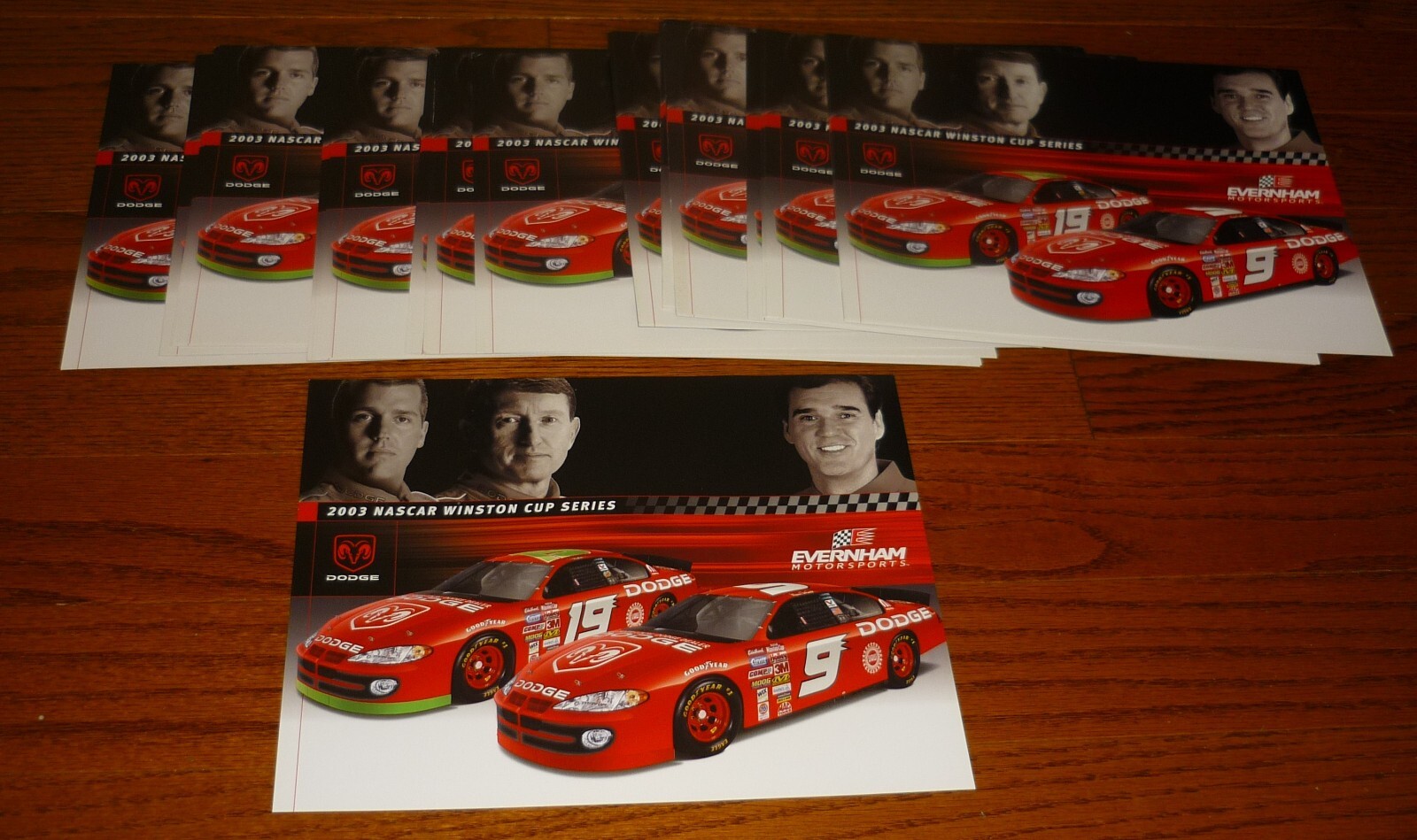 Lot of 32 Evernham MotorSports color 2003 9x11 Nascar photo cards ...