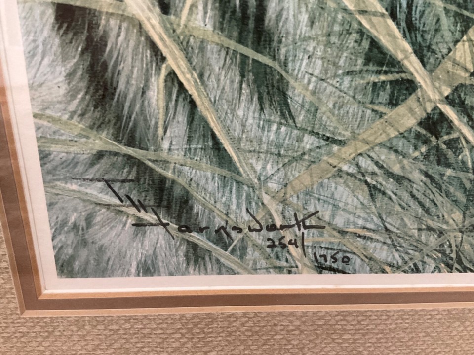 Imogene Farnsworth White Bengal Tiger S/# Lithograph 254/ 1750 Edition ...