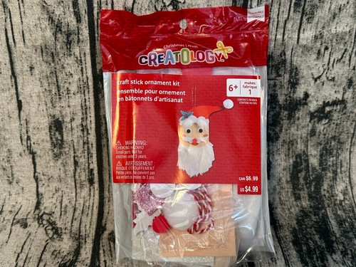 Creatology Christmas Santa Claus Craft Stick Ornament Kit Children's ...