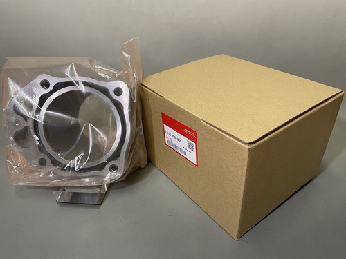 FOR HONDA 2020 - 2023 TRX520 Foreman Rubicon Cylinder 12100-HR6-B00 New ...