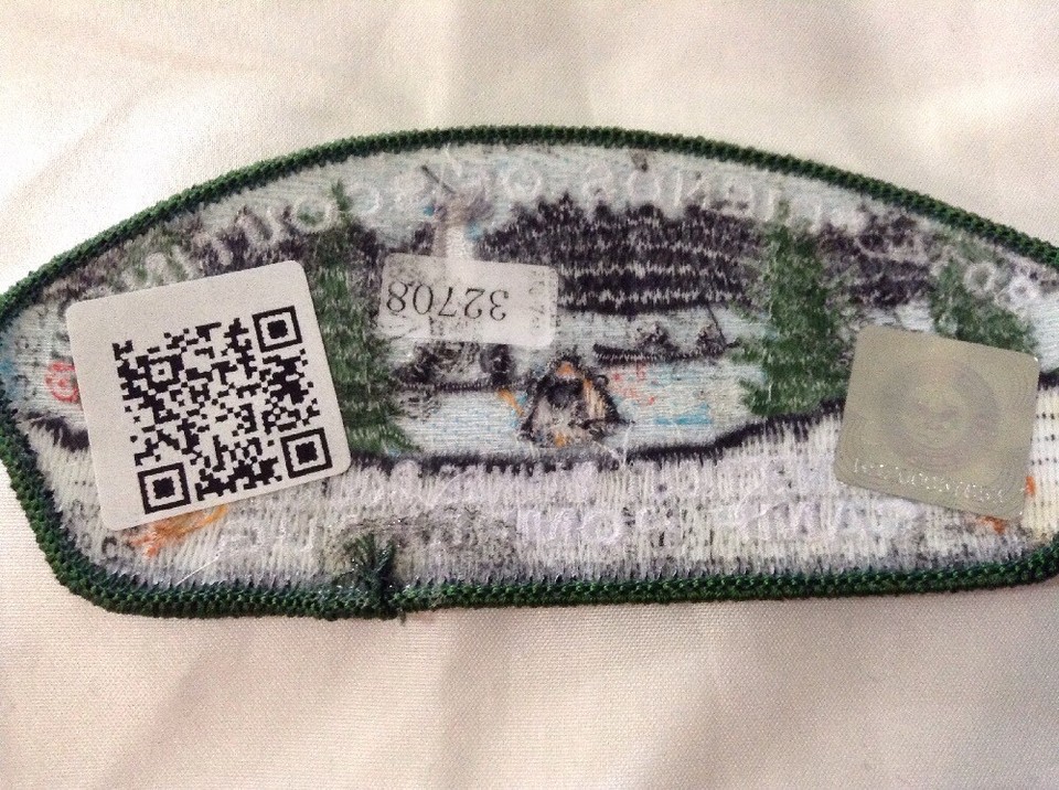 Boy Cub Scout Connecticut Yankee Council 2014 FOS Camp Pomperaug FOS ...