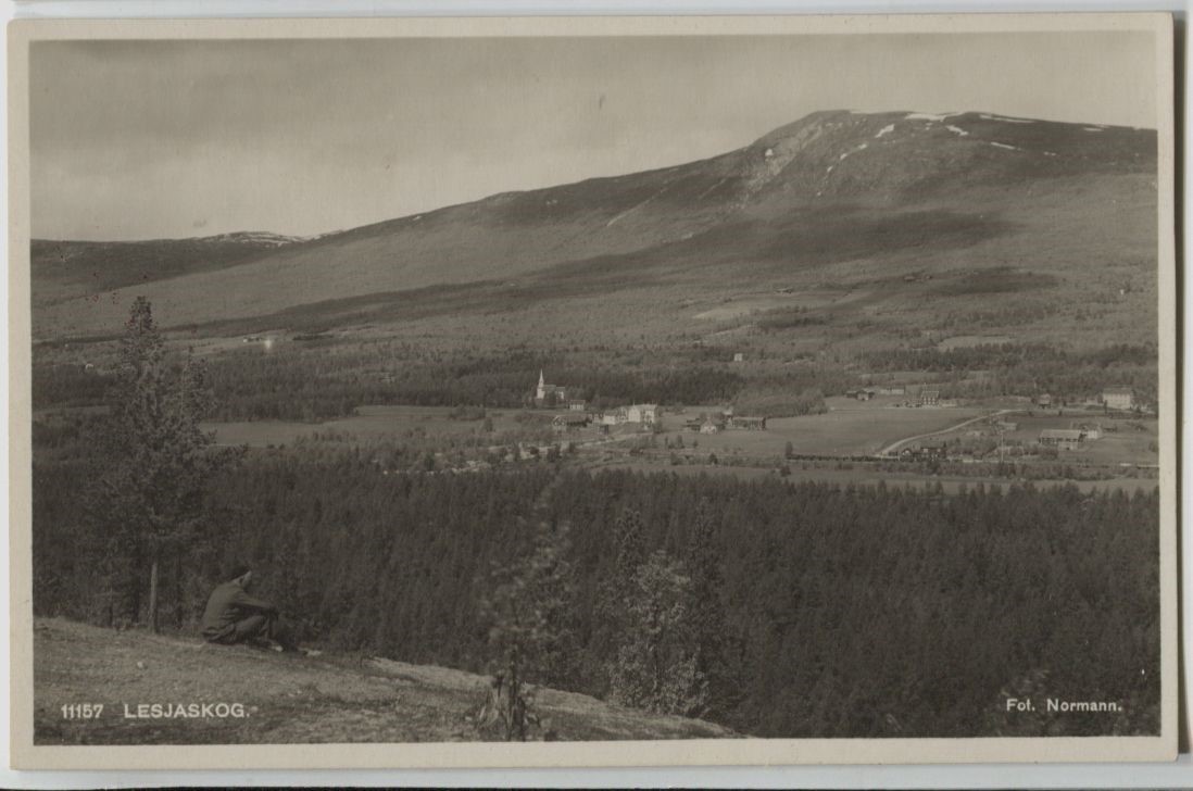 Vintage Lesjaskog Oppland Norway Postcard | eBay