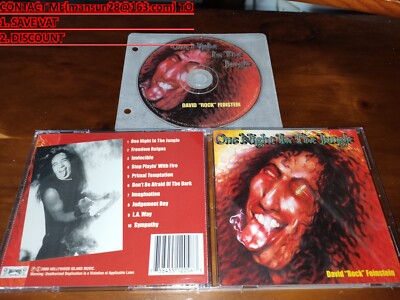 David Rock Feinstein / One Night In The Jungle ORG The Rods RARE ...