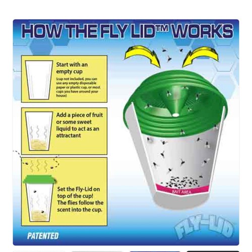 Fly Trap "Fly Lid" - Fly & Fruit Fly Trap - Eco Friendly - Fits on cups ...