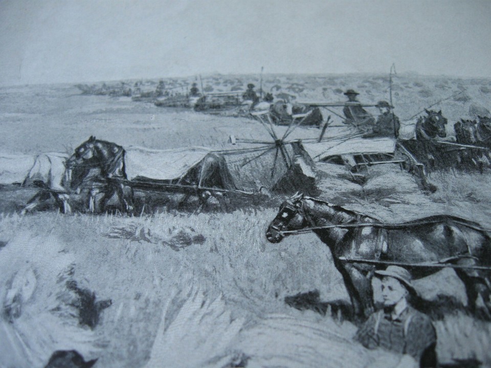 1897 Art Print - REAPING WHEAT w RIGHT HAND BINDERS Farm Farming Thresh ...