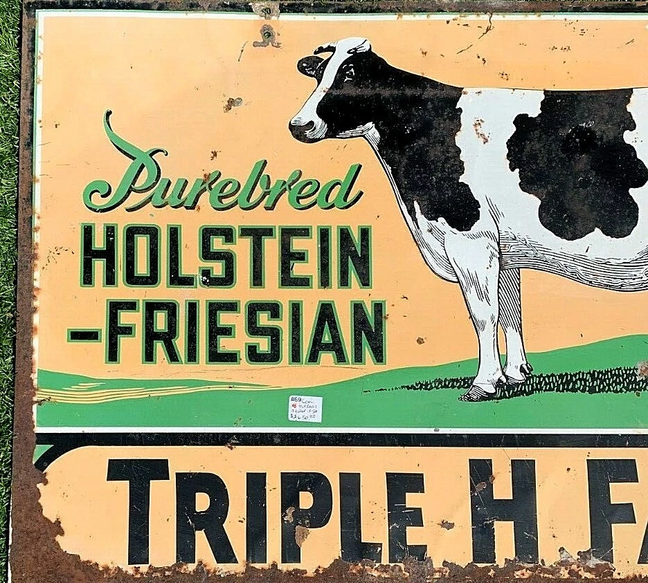 Holstein Cow Graphic