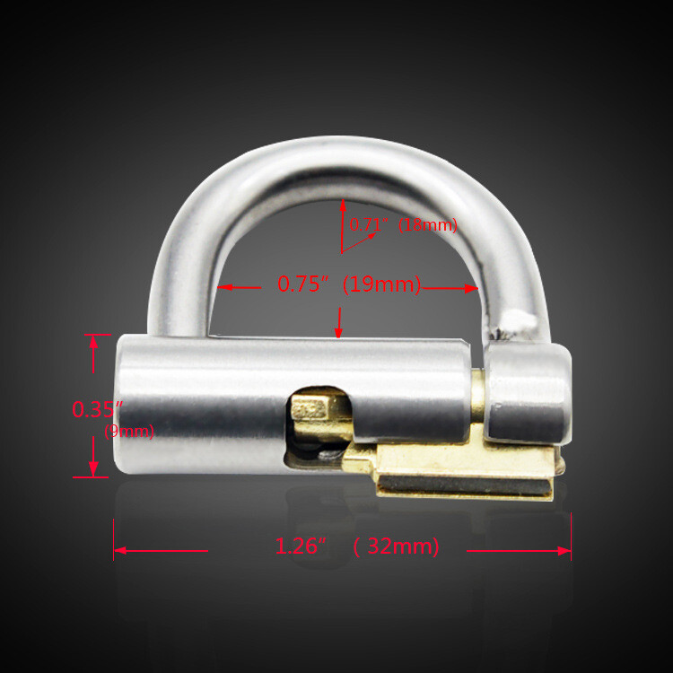 PA Lock for Chastity Cage PA Locked Chastity Piercing Titanium Metal D ...