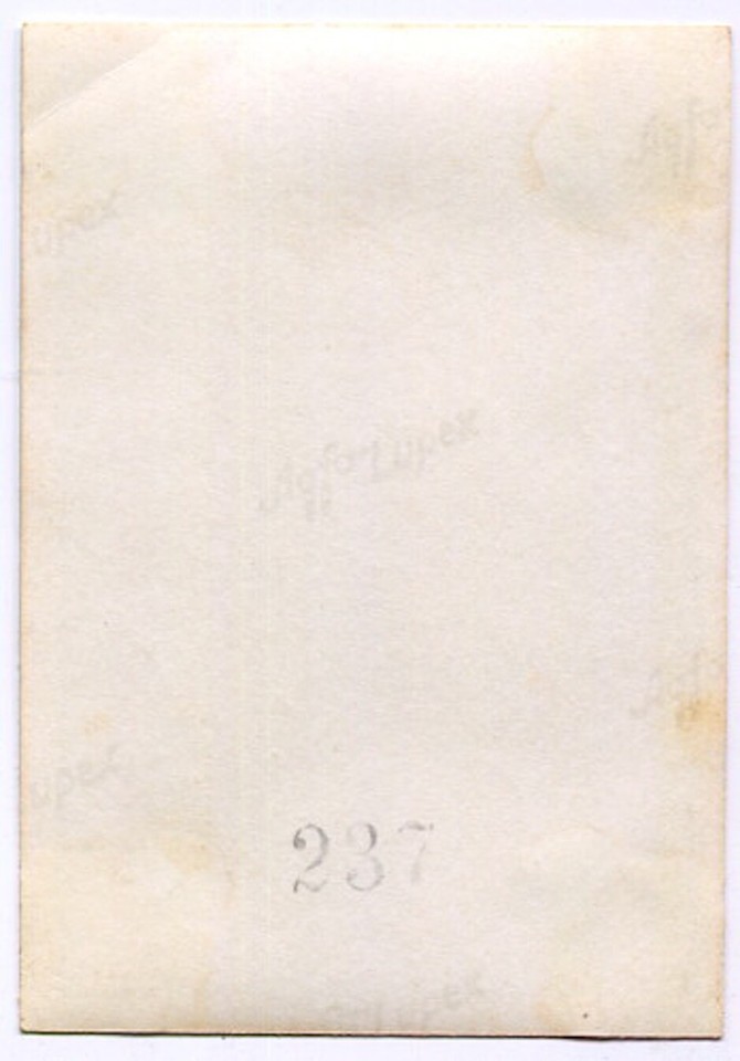 D7788 Foto Pimpfe Youth frühe Jugend Blond Uniform Pimpf Hund | eBay