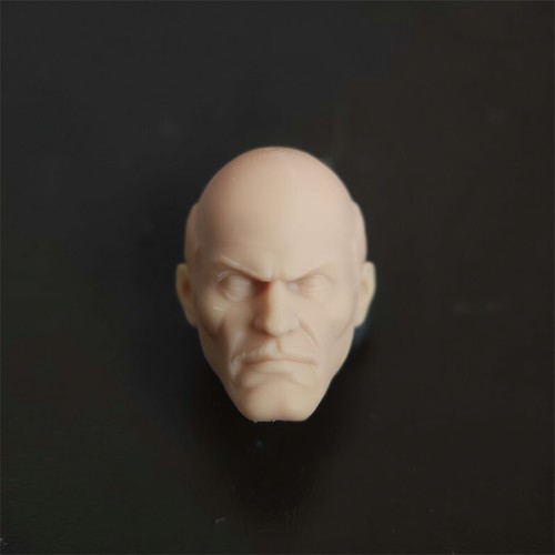 1/10 Scale Comic Batman Butler Alfred Head Sculpt Unpainted Fit 7" Neca ...
