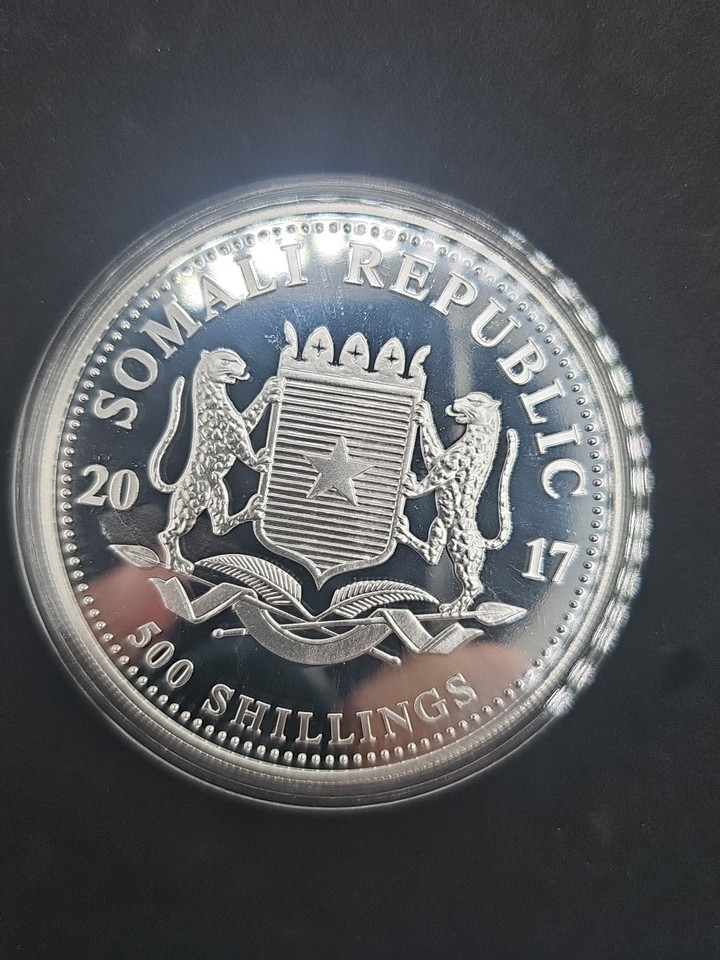 2017 Somalia Elephant African Wildlife 5oz Silver Somali Coin, 500 ...
