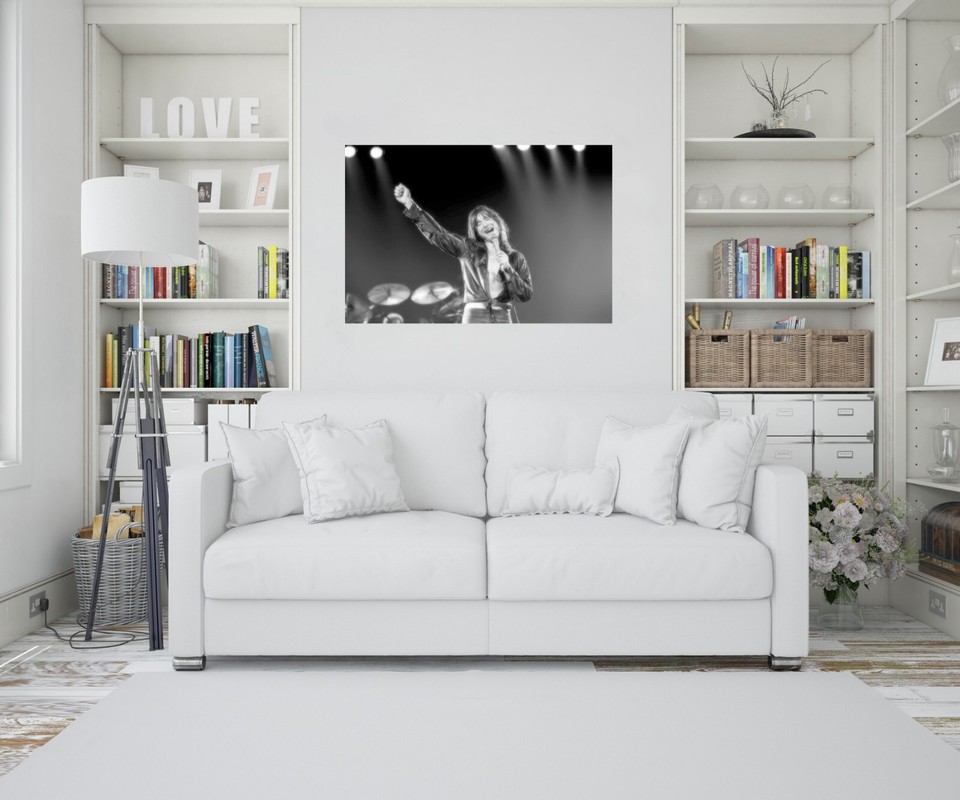 Steve Perry Poster 24x36 Inch Photo Rare Print Wall Art Print ND01 ...