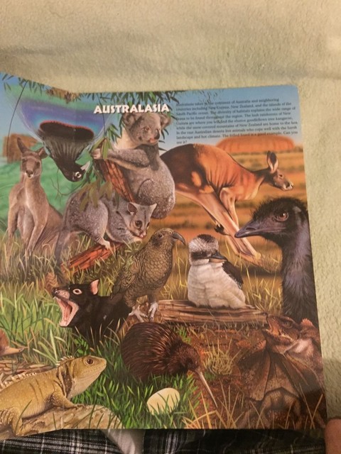 Garry Fleming's 3d Books Animals of The World Hardcover – September 24 ...