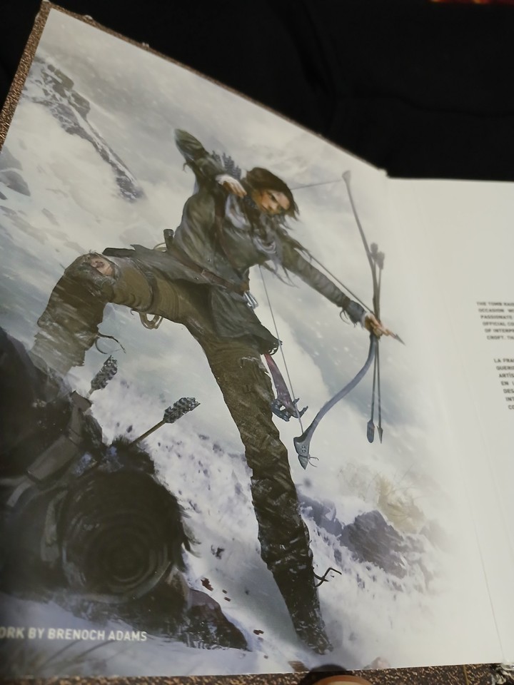 Laura Croft Tomb Raider 20 Years Icon Journal Game for PlayStation 4 ...