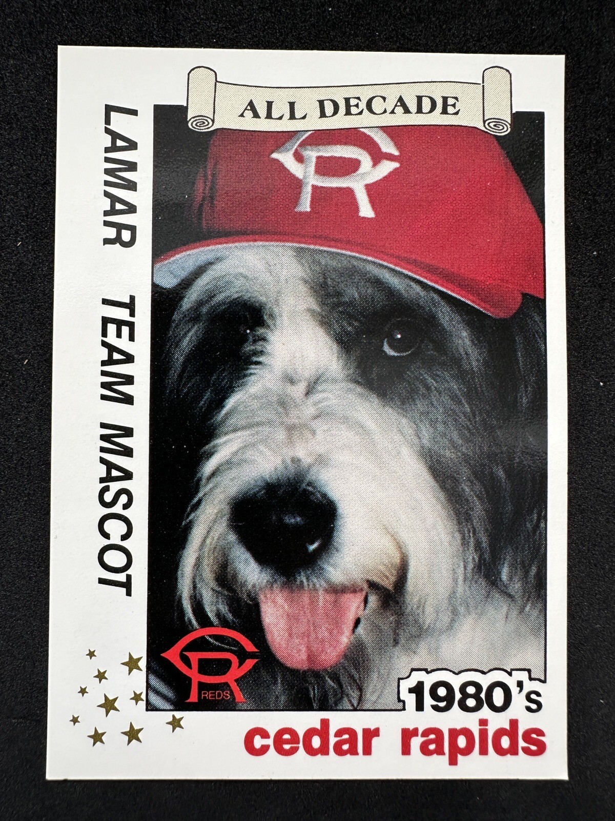 1989 Best Cards Cedar Rapids All Decade Team Lamar Mascot 1980s ...