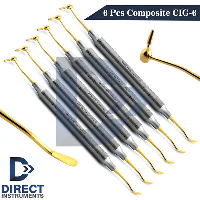 6 Pieces Dental Composite Instruments CIG-6 Restorative Amalgam Placing ...