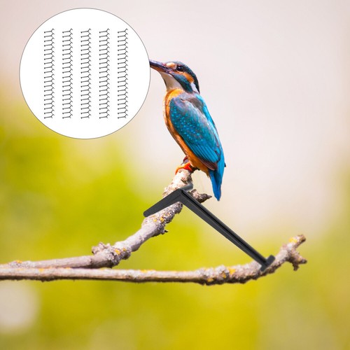 100 Pcs Fruit Tree Branch Puller Branches Bender Plant Stem Benders | eBay