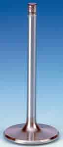 Milodon 45665-8 Street Stainless Valves Small Block Ford 302 Exhaust: 1 ...